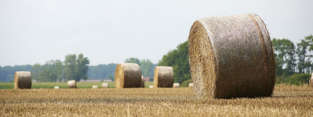 Oplossingen – Hagru